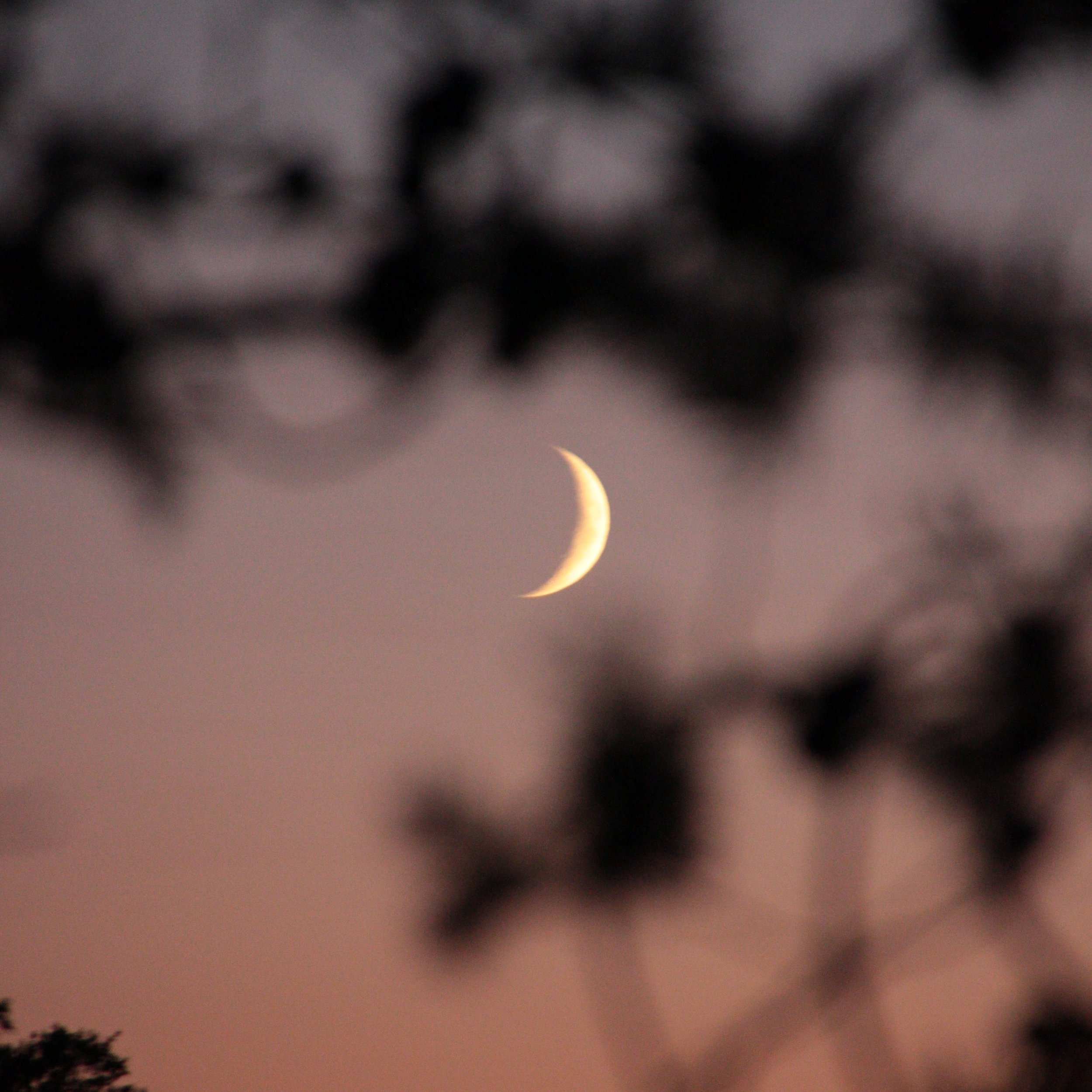 Tina Loeffler - A Goodnight Blessing