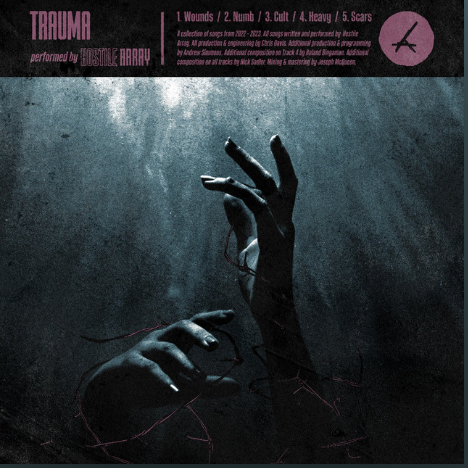 Hostile Array’s new jaw-dropping ep “Trauma” is phenomenal