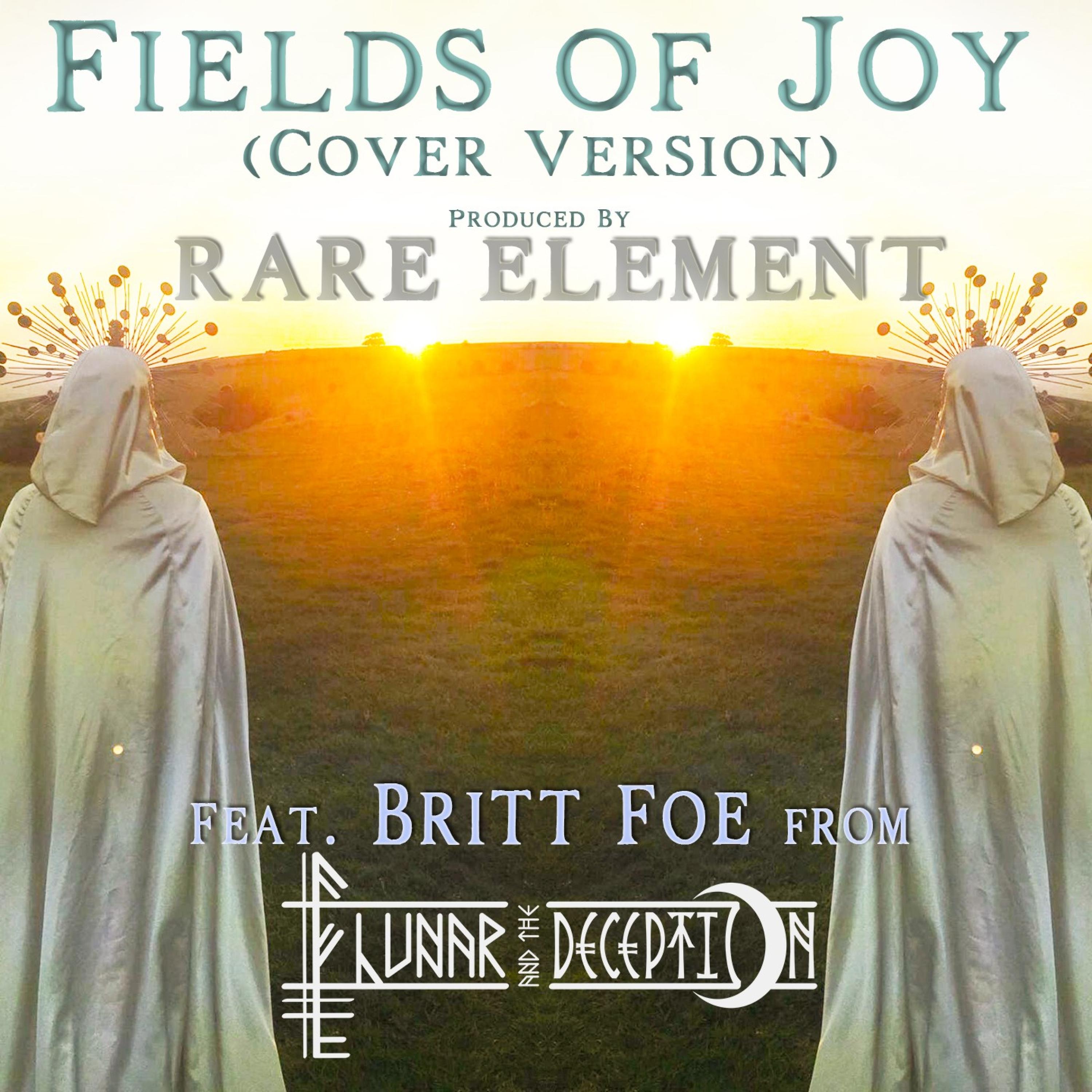 Rare Element Releases Latest Electronic Alternative Rock Single, Fields ...